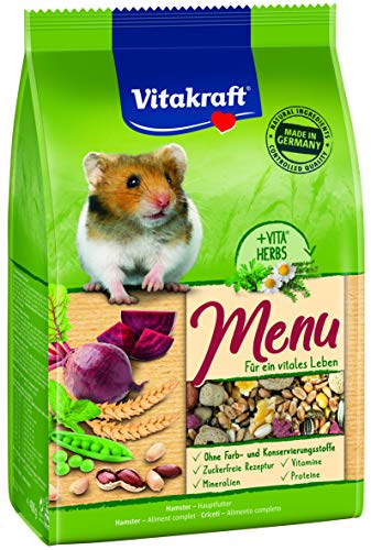 Goldhamster Ernährung ohne Futter zu kaufen - Das haben Sie sicher da!